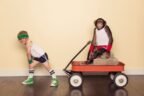 How Strong is a Chimpanzee - Chimpanzee Strength - Zooologist