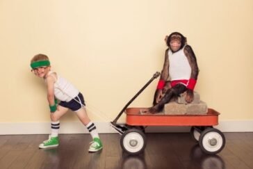 How Strong is a Chimpanzee - Chimpanzee Strength - Zooologist