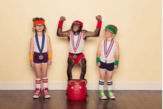 How Strong is a Chimpanzee - Chimpanzee Strength - Zooologist